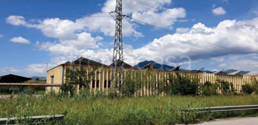 Appartamento all'asta a Pozzilli industriale