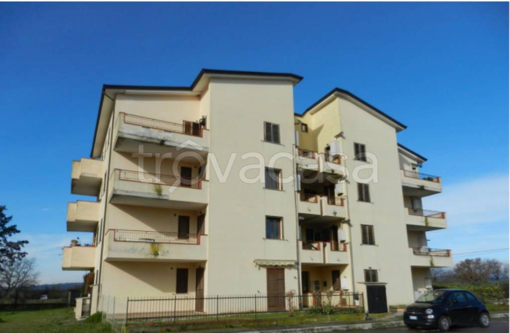Appartamento all'asta a Cinigiano località borgo santa rita