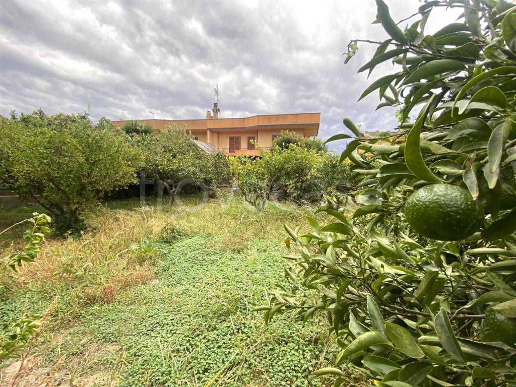 Villa Bifamiliare in vendita a Catanzaro