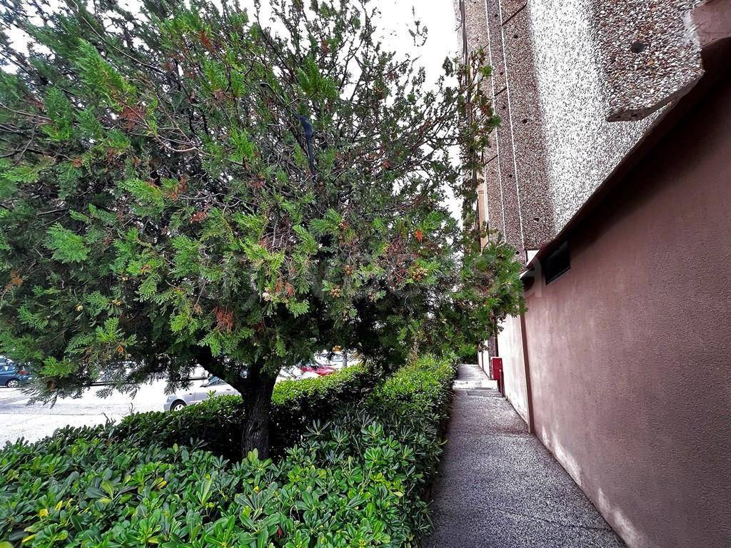 Appartamento in vendita a Roma via Amerigo Guasti