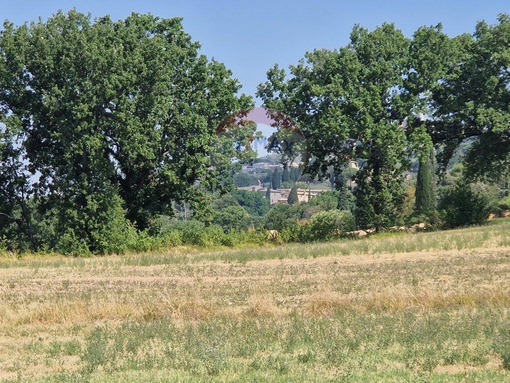 Casa Indipendente in vendita ad Assisi via Ponte Todero