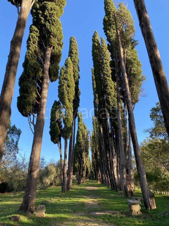 Appartamento in in vendita da privato a Siena strada Chiantigiana