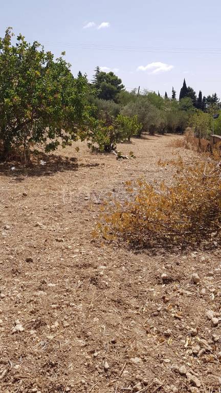 Villa in vendita a Caltanissetta contrada Cialagra