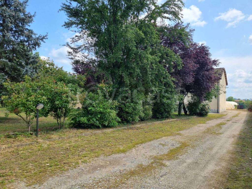 Cascina in vendita ad Asti strada del Borbore, 13