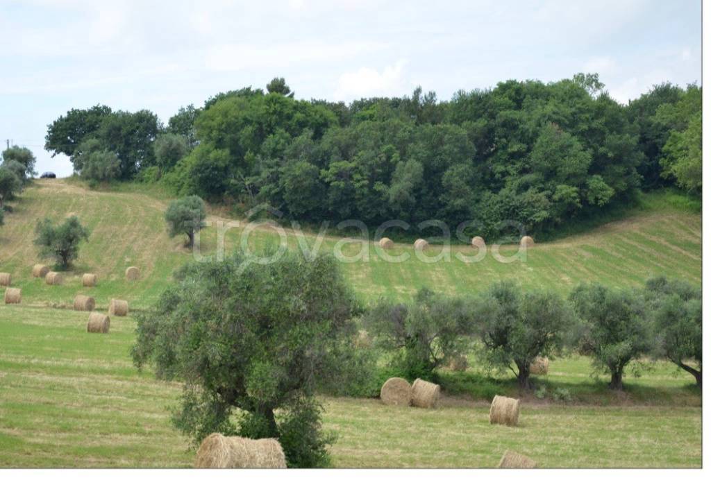 Colonica in in vendita da privato a Senigallia strada di Sant'Anna Trinità
