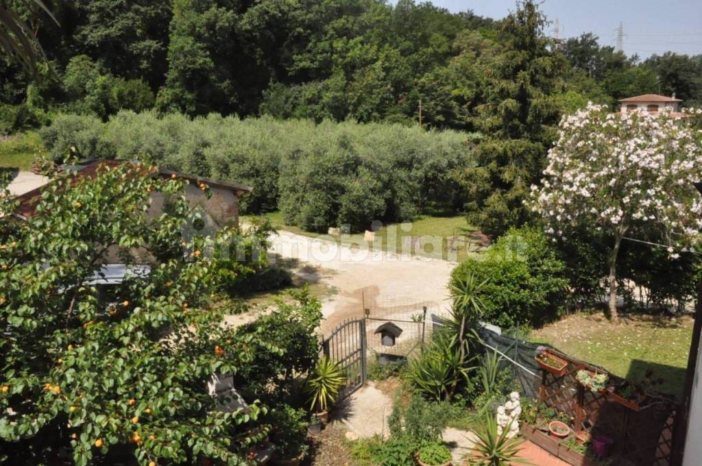 Appartamento in in vendita da privato a Collesalvetti via Montecandoli