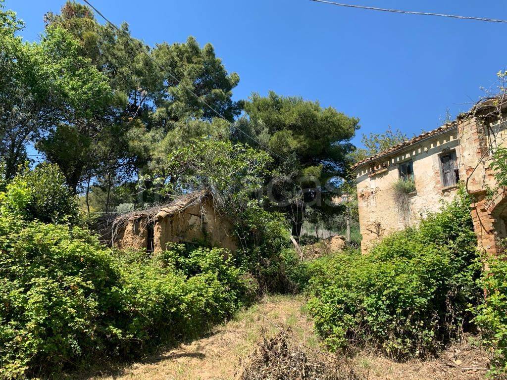 Colonica in in vendita da privato a Colonnella contrada San Martino