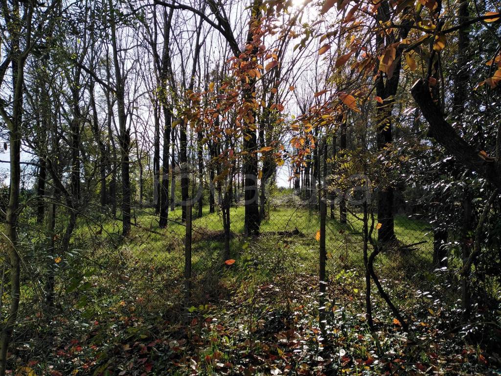 Villa in in vendita da privato ad Adria località Cicese, 29