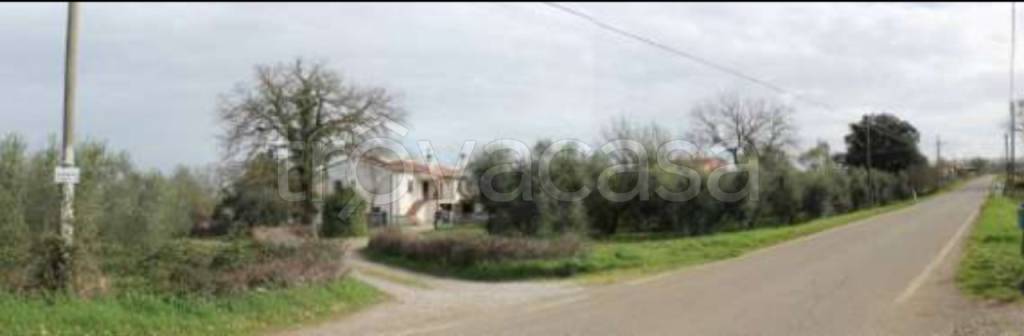 Appartamento all'asta a Scansano nucleo Abitato perazzeta