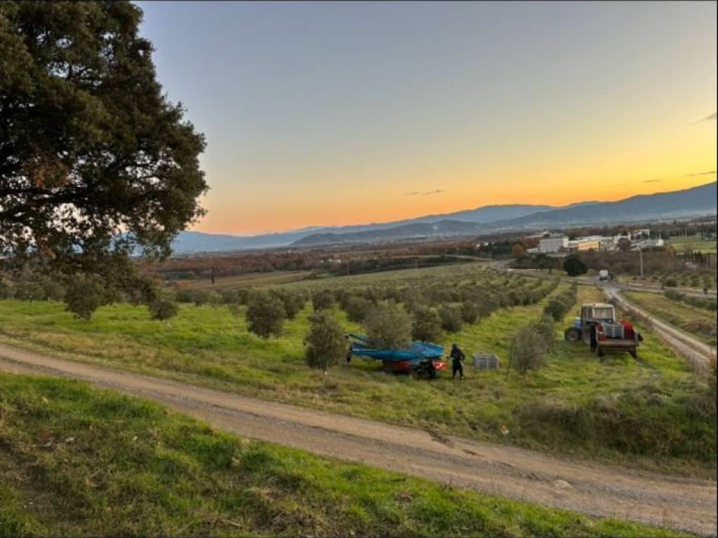 Terreno Agricolo in vendita a Civitella in Val di Chiana via di Dorna ...