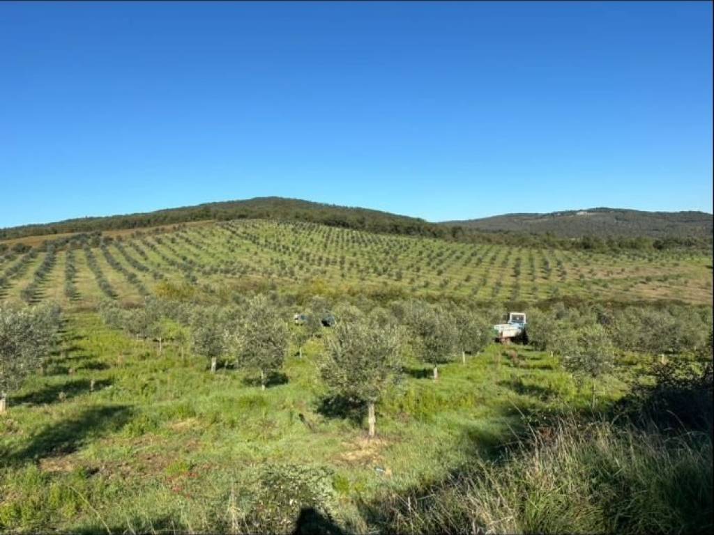 Terreno Agricolo in vendita a Civitella in Val di Chiana via di Dorna ...