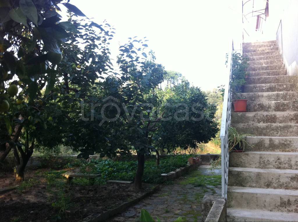 Casa Indipendente in in vendita da privato a Dasà viale Regina Margherita, 32