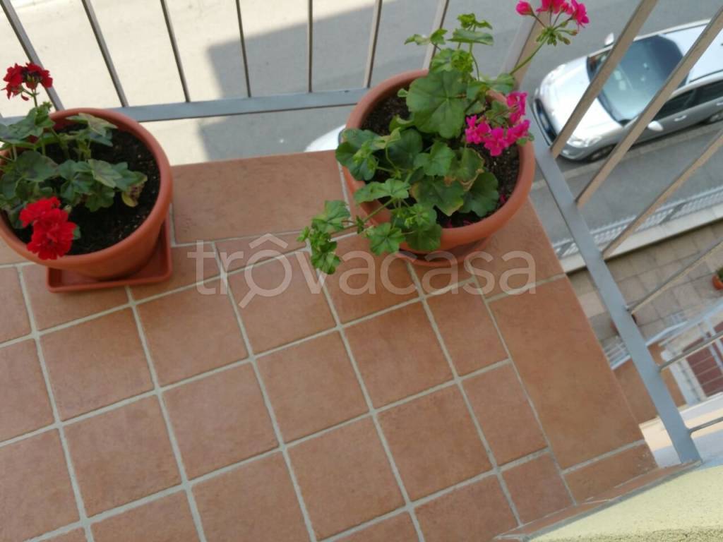 Appartamento in in vendita da privato a Cremona via degli Aceri, 2